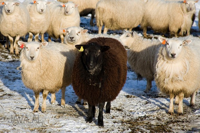 Metoda main() në Java - Java.al